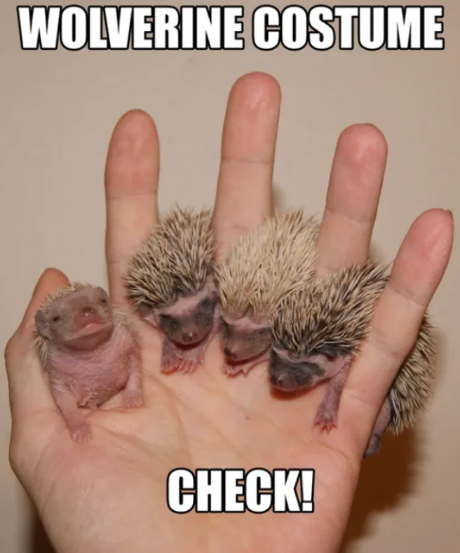 So I get to fight crime now? | Scrolller