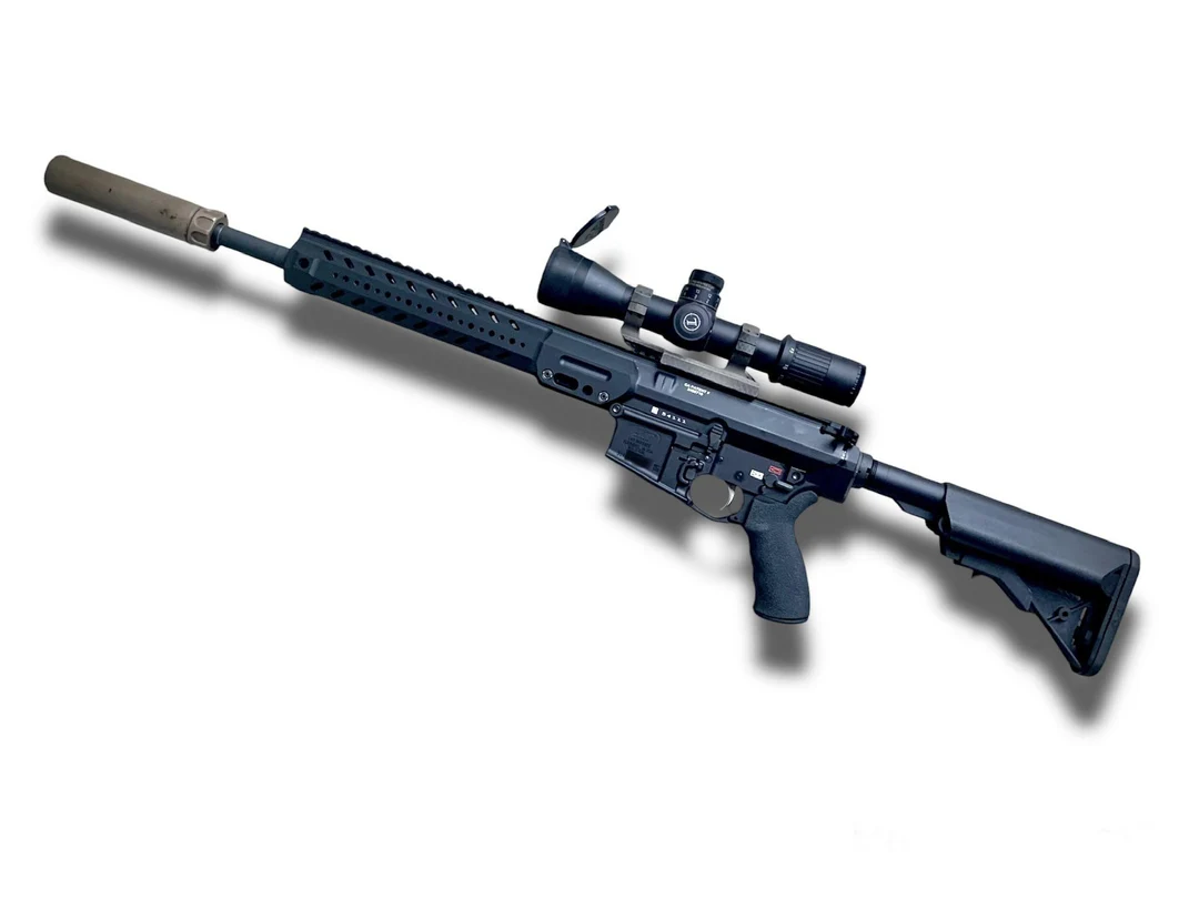 Last AR before the Washington State assault weapon ban… | Scrolller