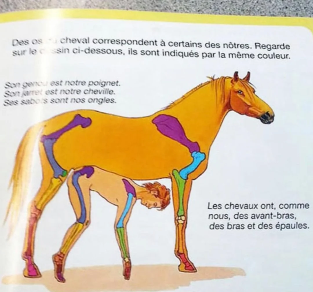 French Anatomy Book Scrolller