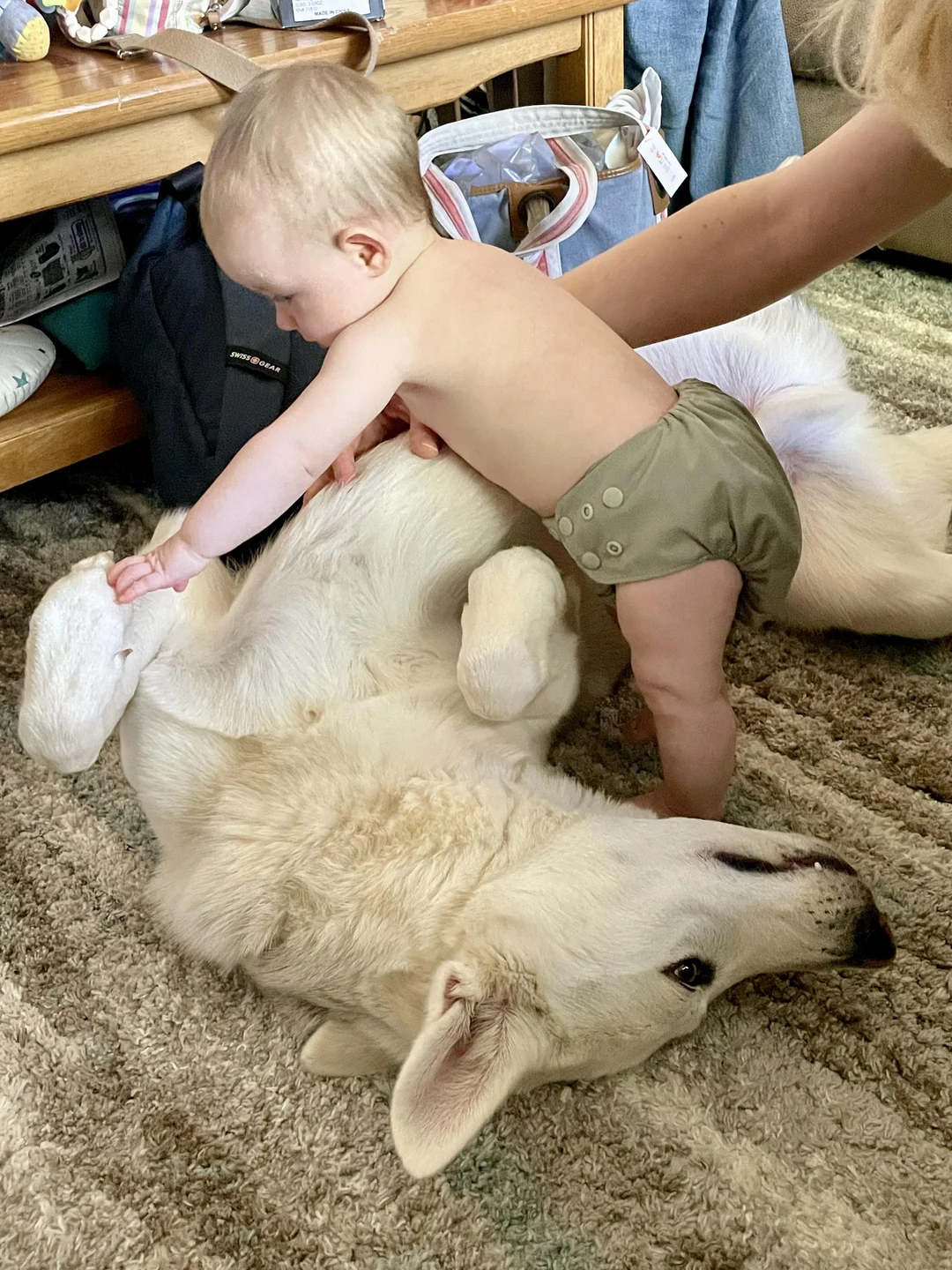 Just a baby and her pupper | Scrolller