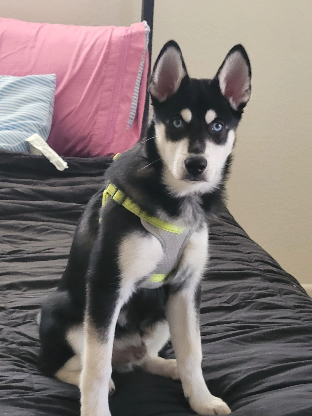 I'm beyond frustrated... | Scrolller