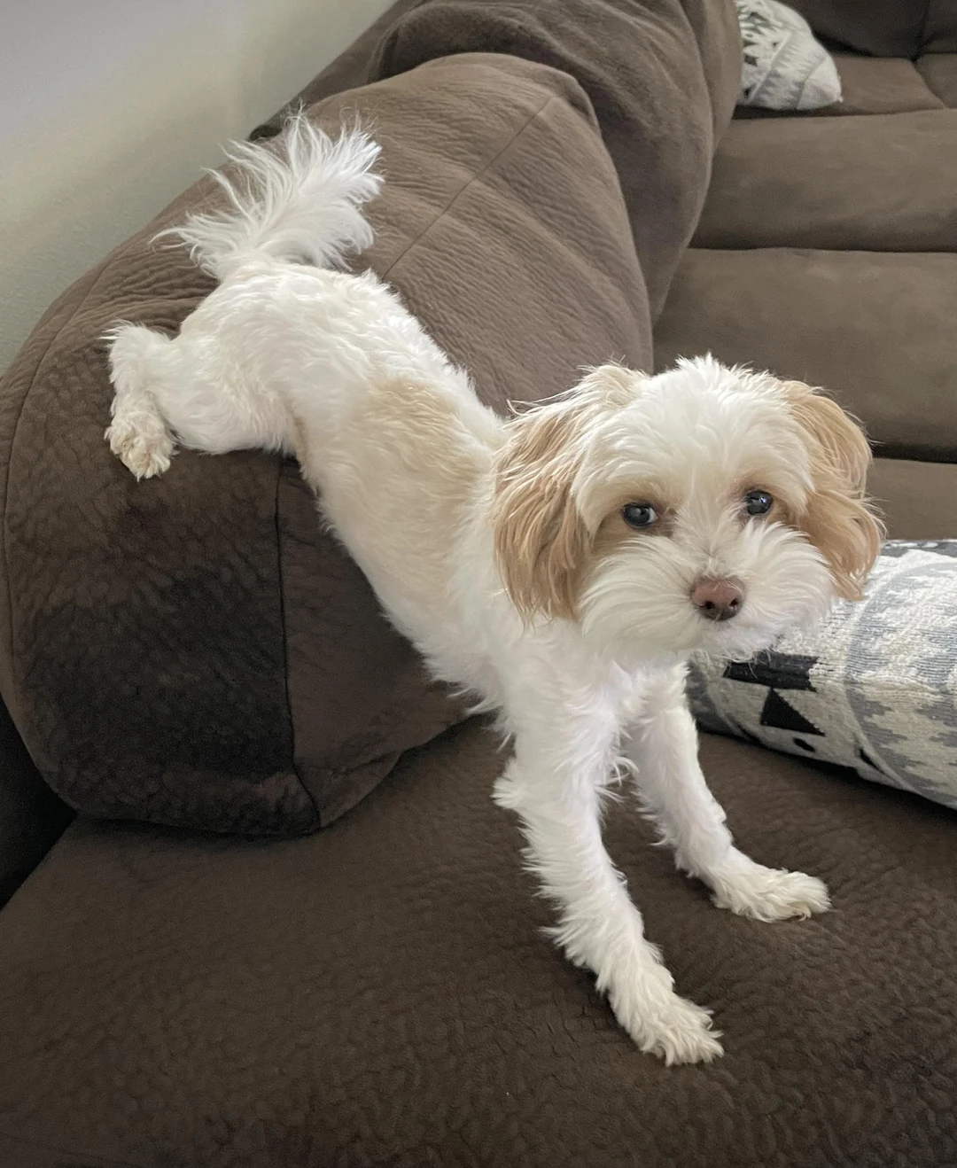 I have no idea why she sits like this | Scrolller