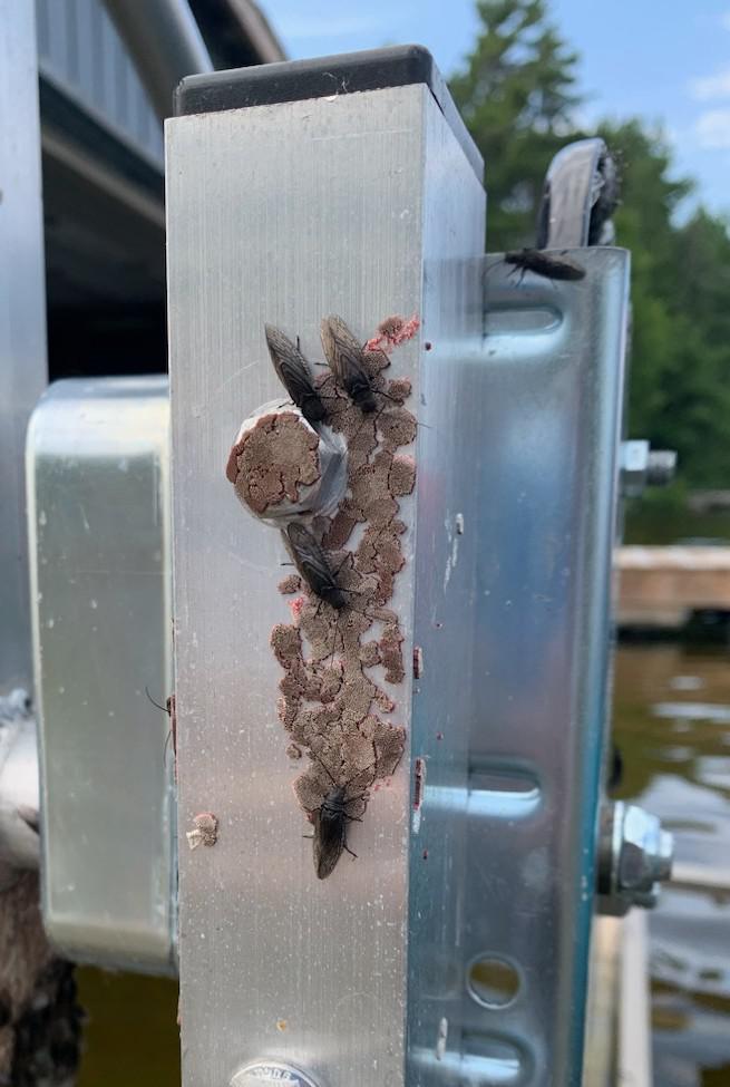 Taken over the boat dock | Scrolller