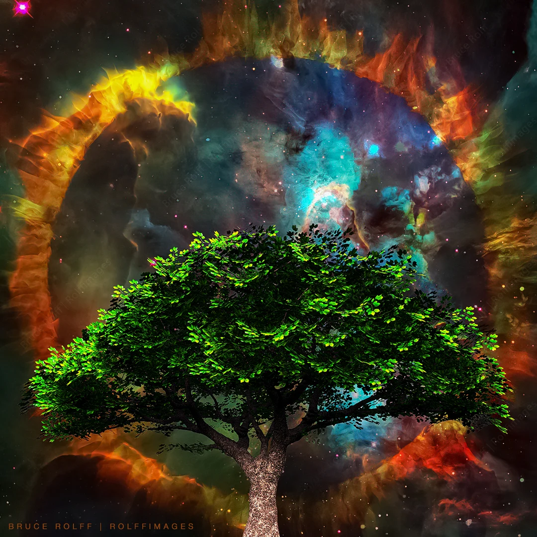 Tree of Life, Bruce Rolff, Digital, 2021 | Scrolller