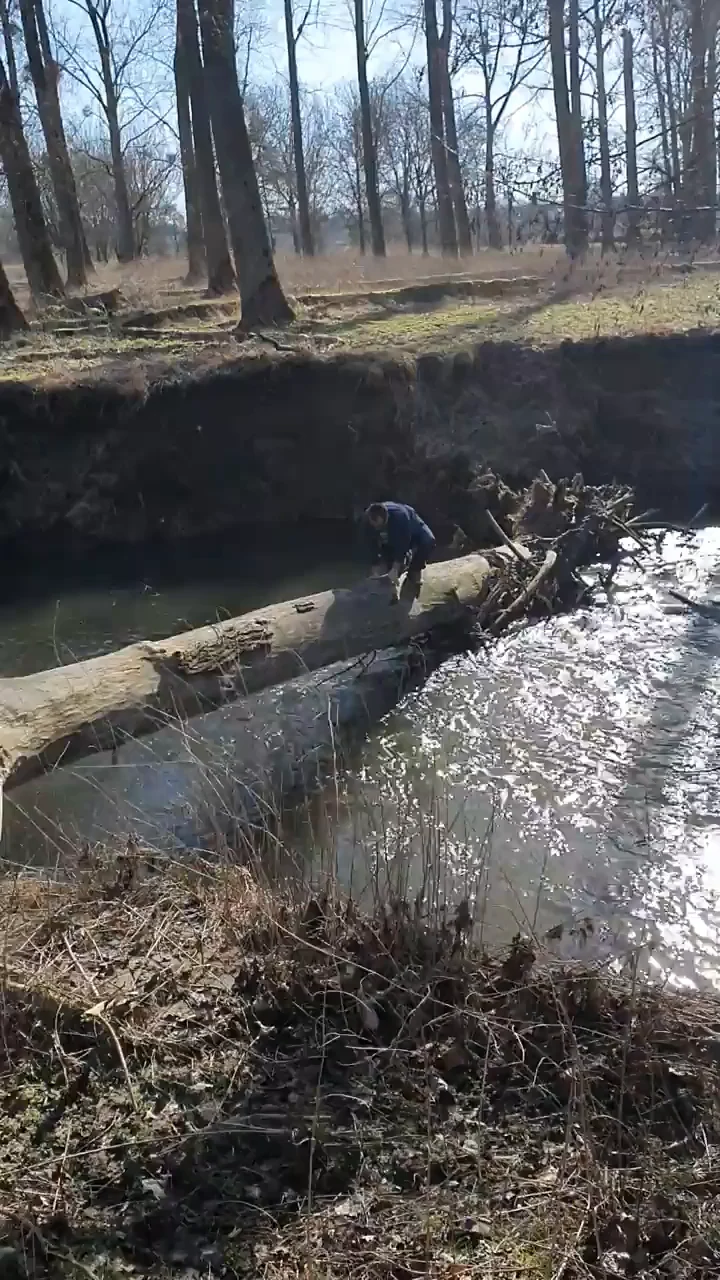 My co-worker asks me to film him walking across the log | Scrolller