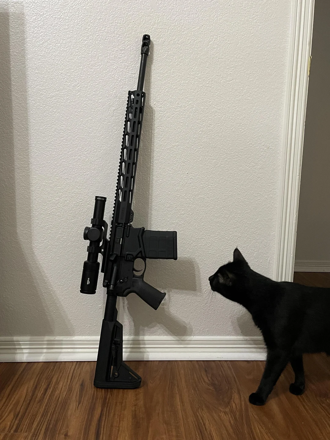 New addition. Ruger Sfar | Scrolller