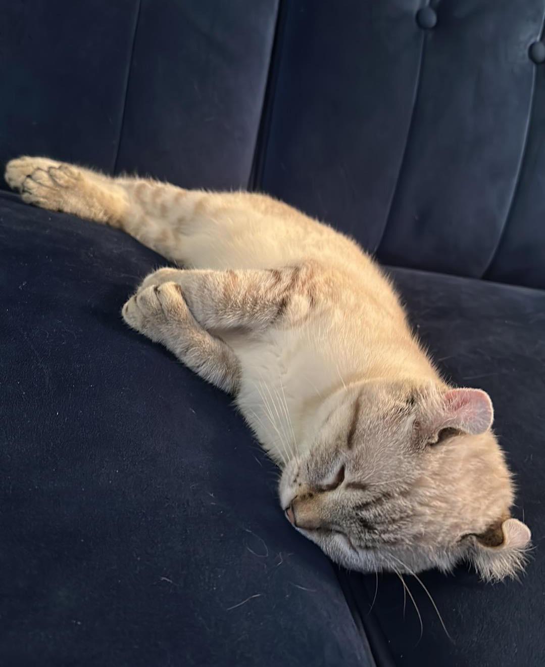 She looks so comfy | Scrolller