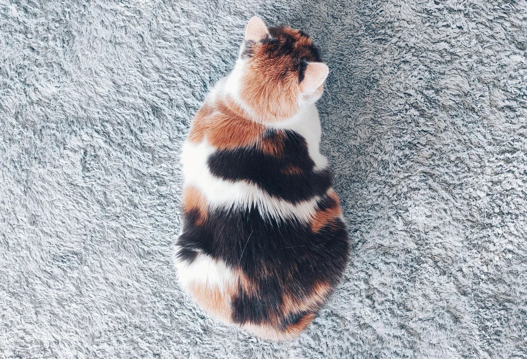 almost a loaf right ? | Scrolller