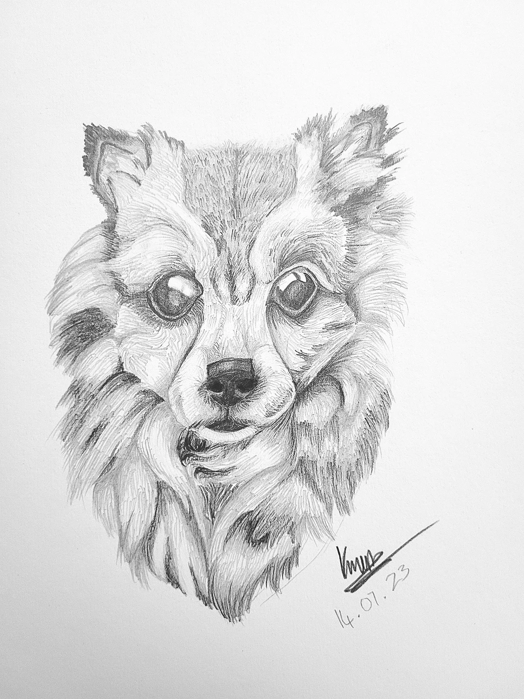 Bubba The Dog, (me), 2023 | Scrolller