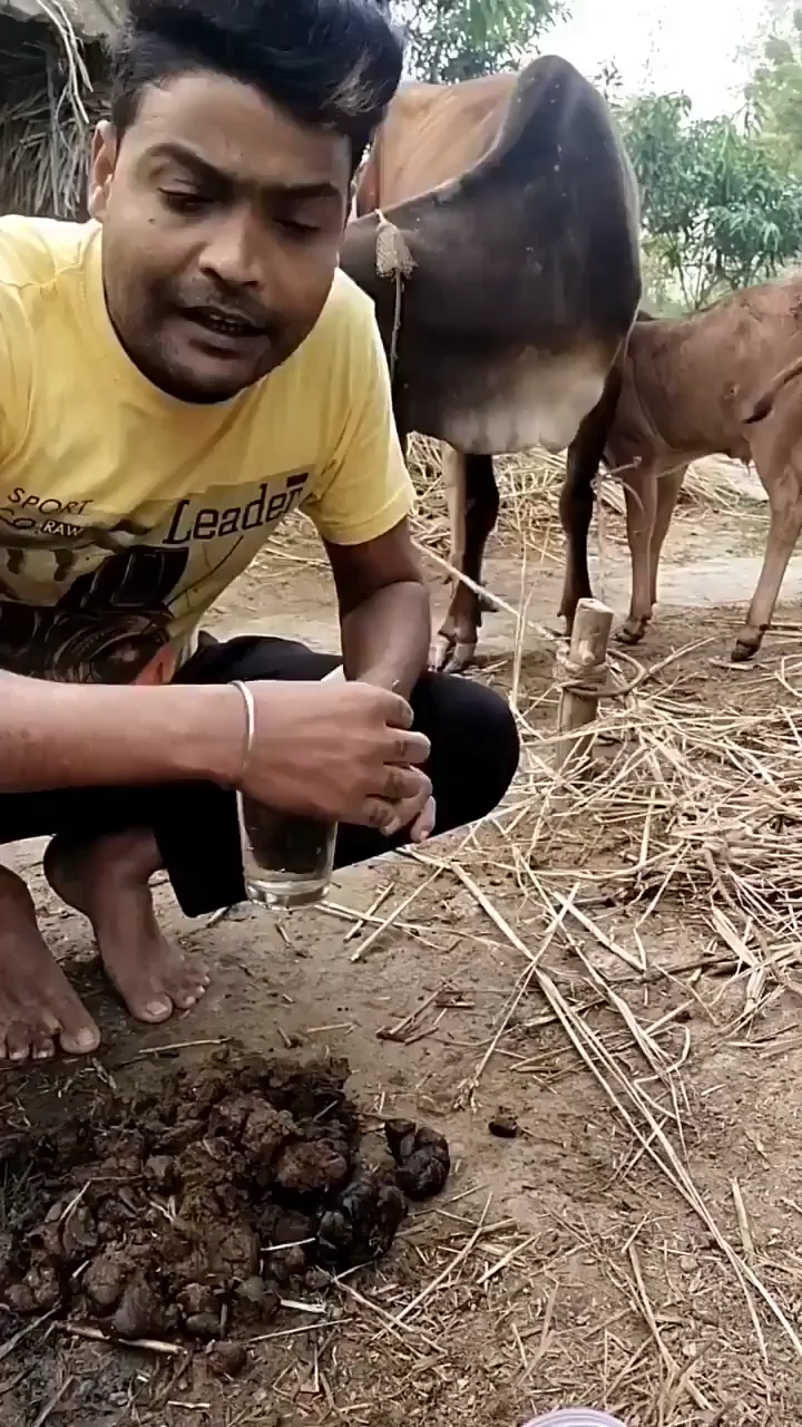 Chocolate milkshake | Scrolller