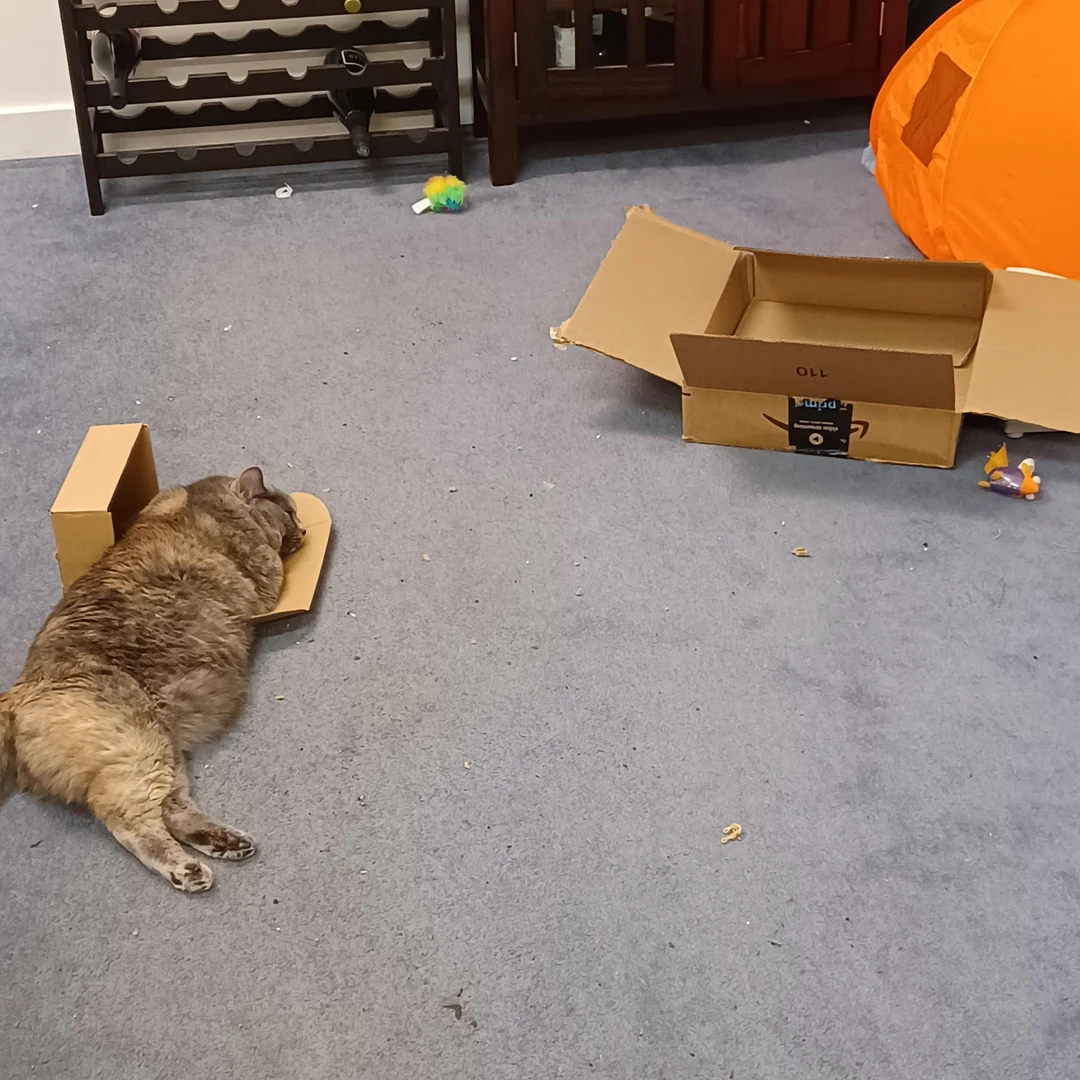 At least one of the traps is working | Scrolller