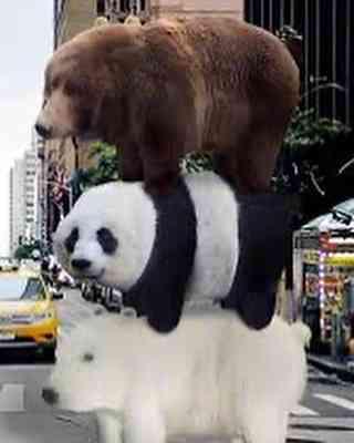 We bare bears | Scrolller