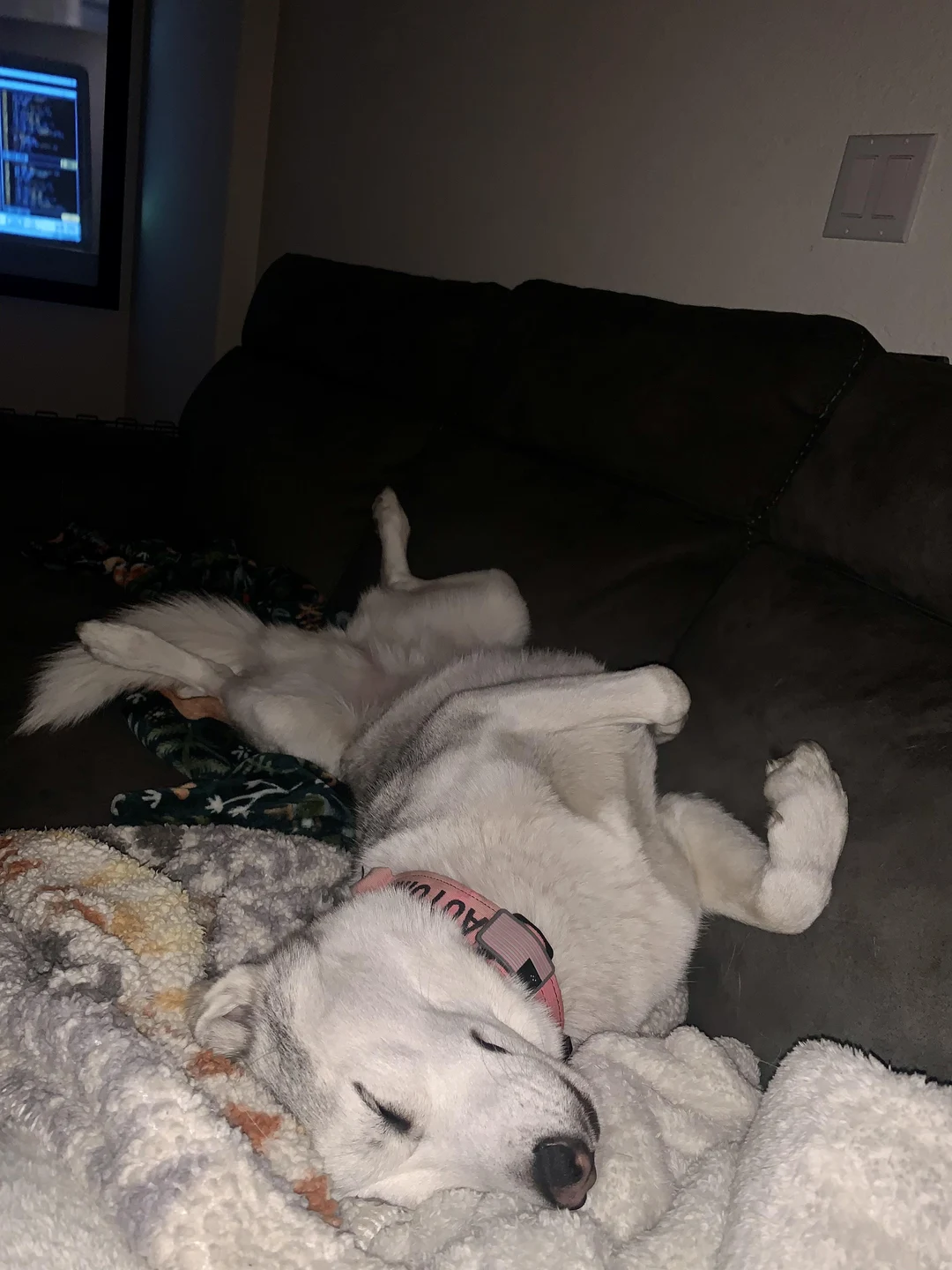 Show me your sassy sleepers | Scrolller