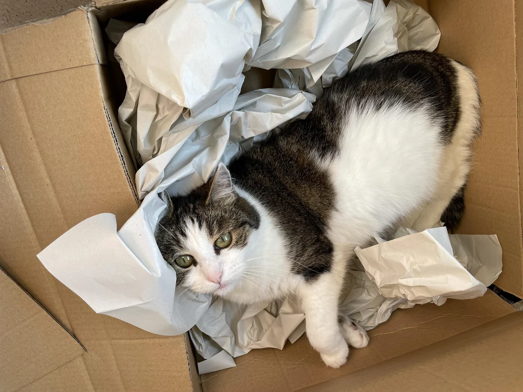 she loves a good trap | Scrolller