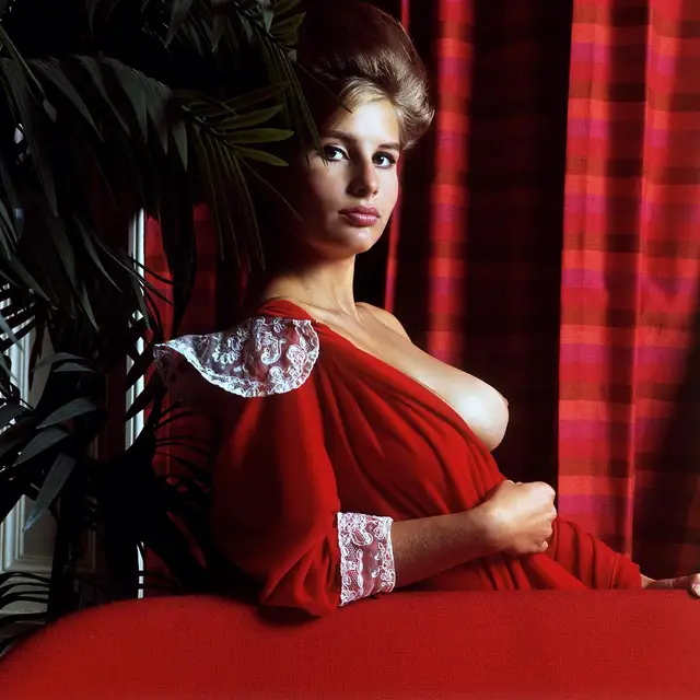 Donna Michelle | Scrolller