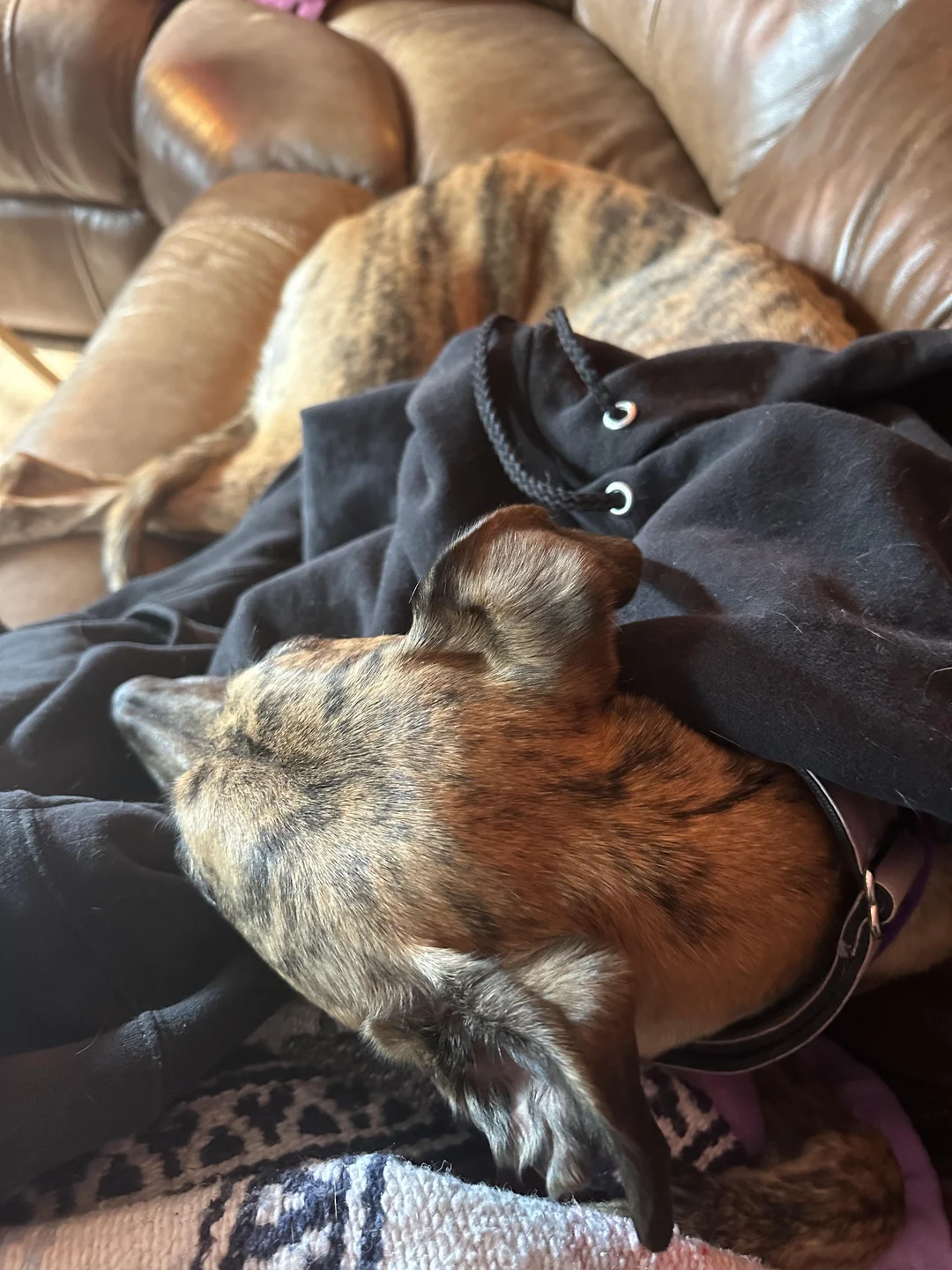 My coworker keeping my things warm | Scrolller