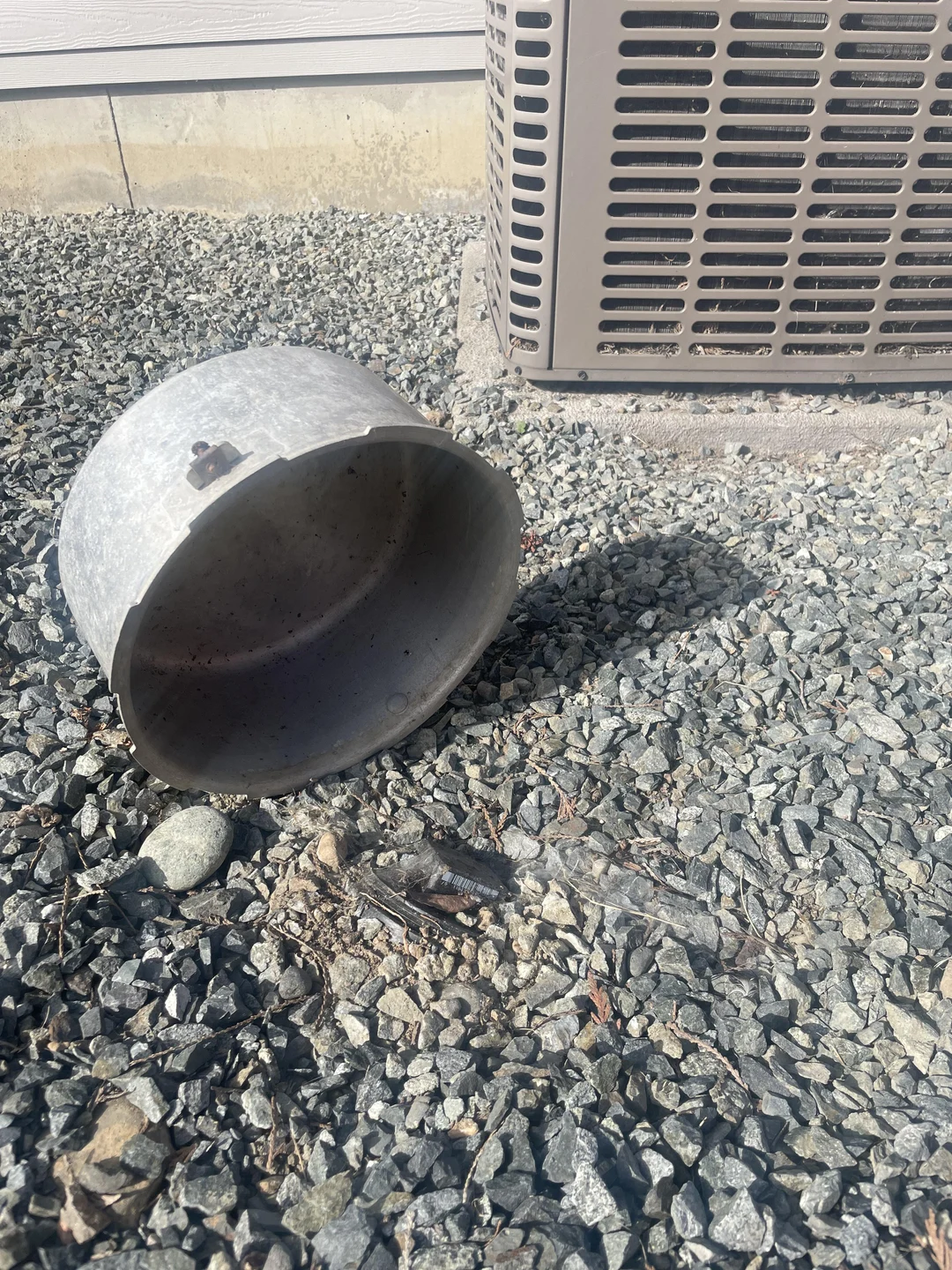 What is this thing in the ground? | Scrolller