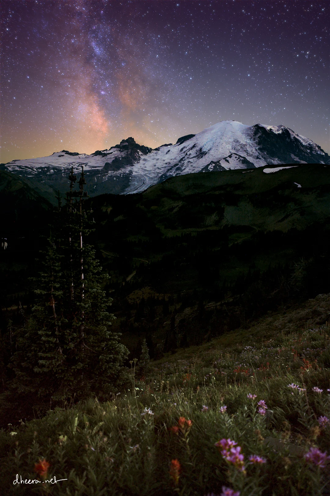 Milky Way over Mt. Rainier and wildflowers [2047x3072][OC] | Scrolller