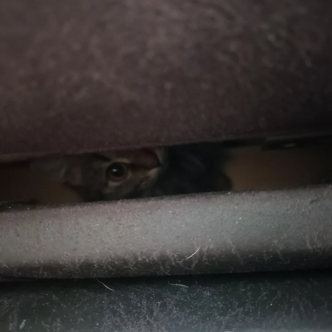 She's just watching | Scrolller