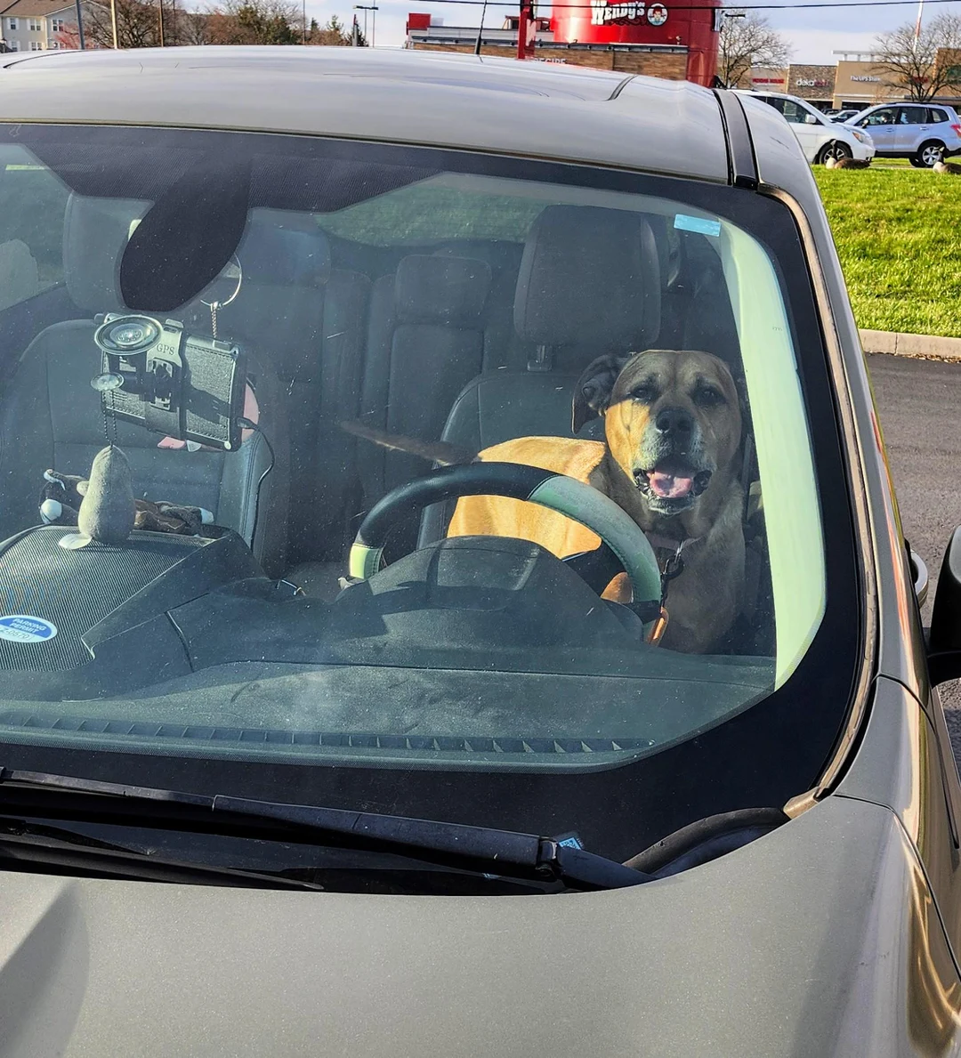 R u my Uber? | Scrolller