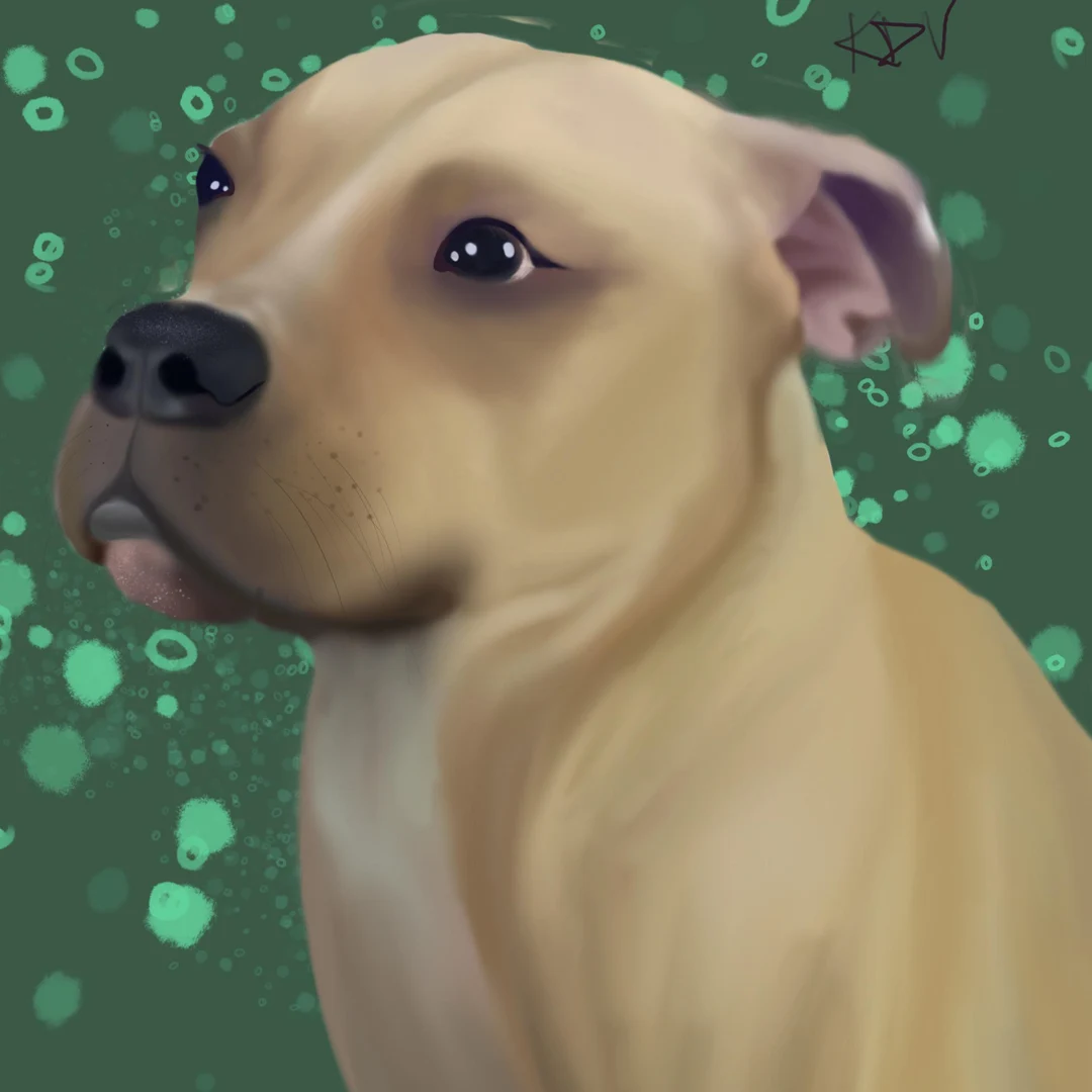 My dog, me- KDV, digital, 2024 | Scrolller