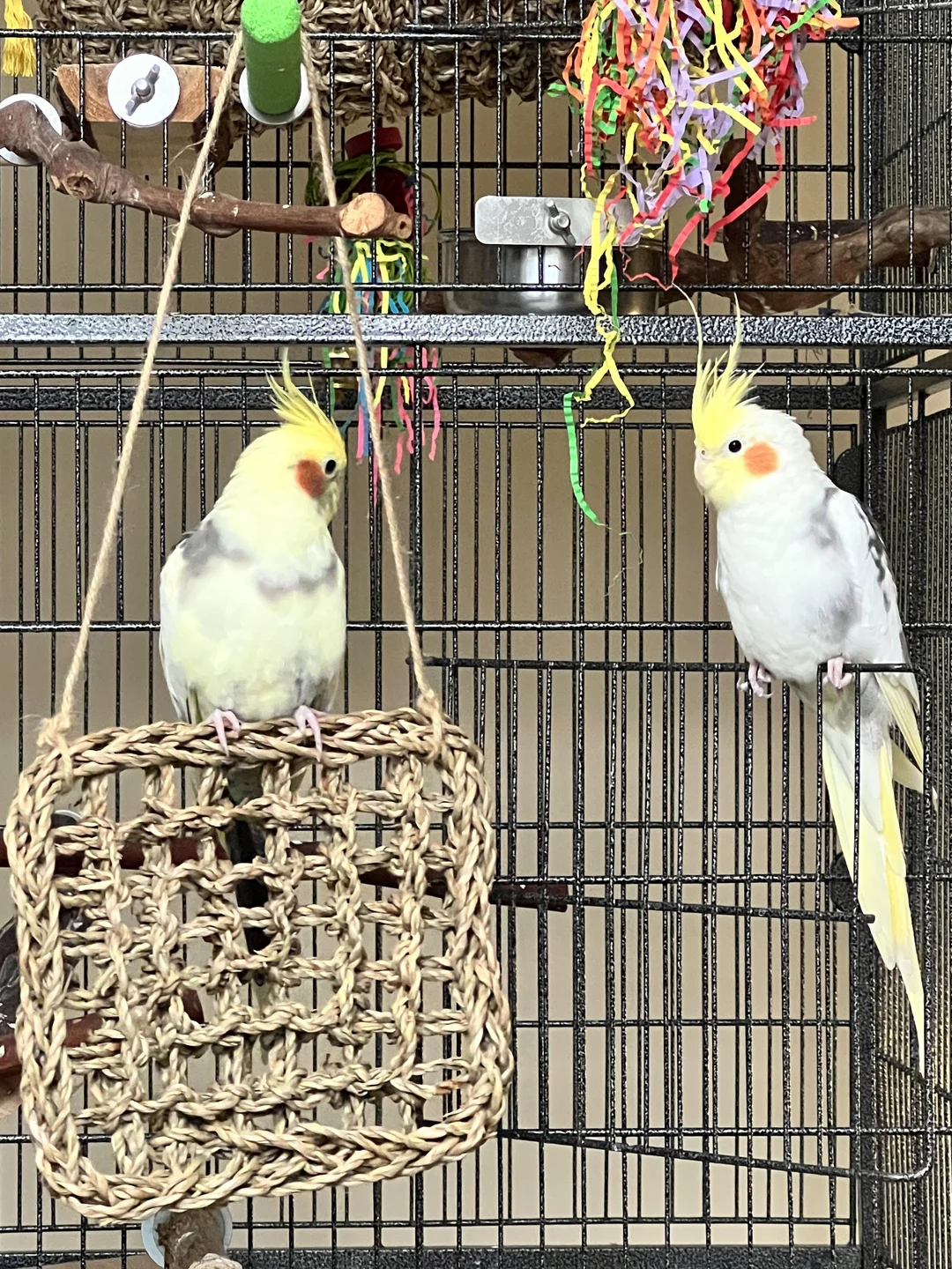 They doesn’t like to hangout with me.. | Scrolller