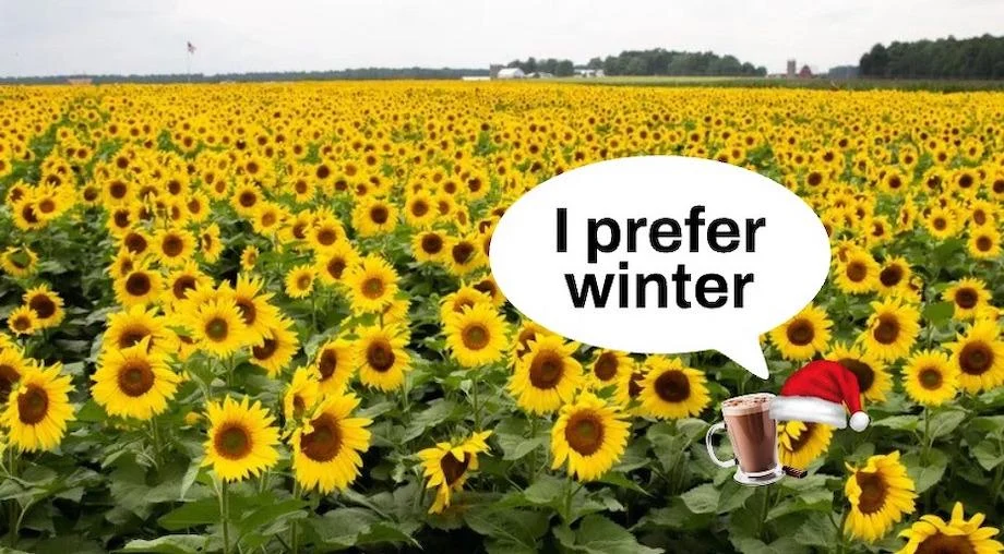 Bundled up | Scrolller