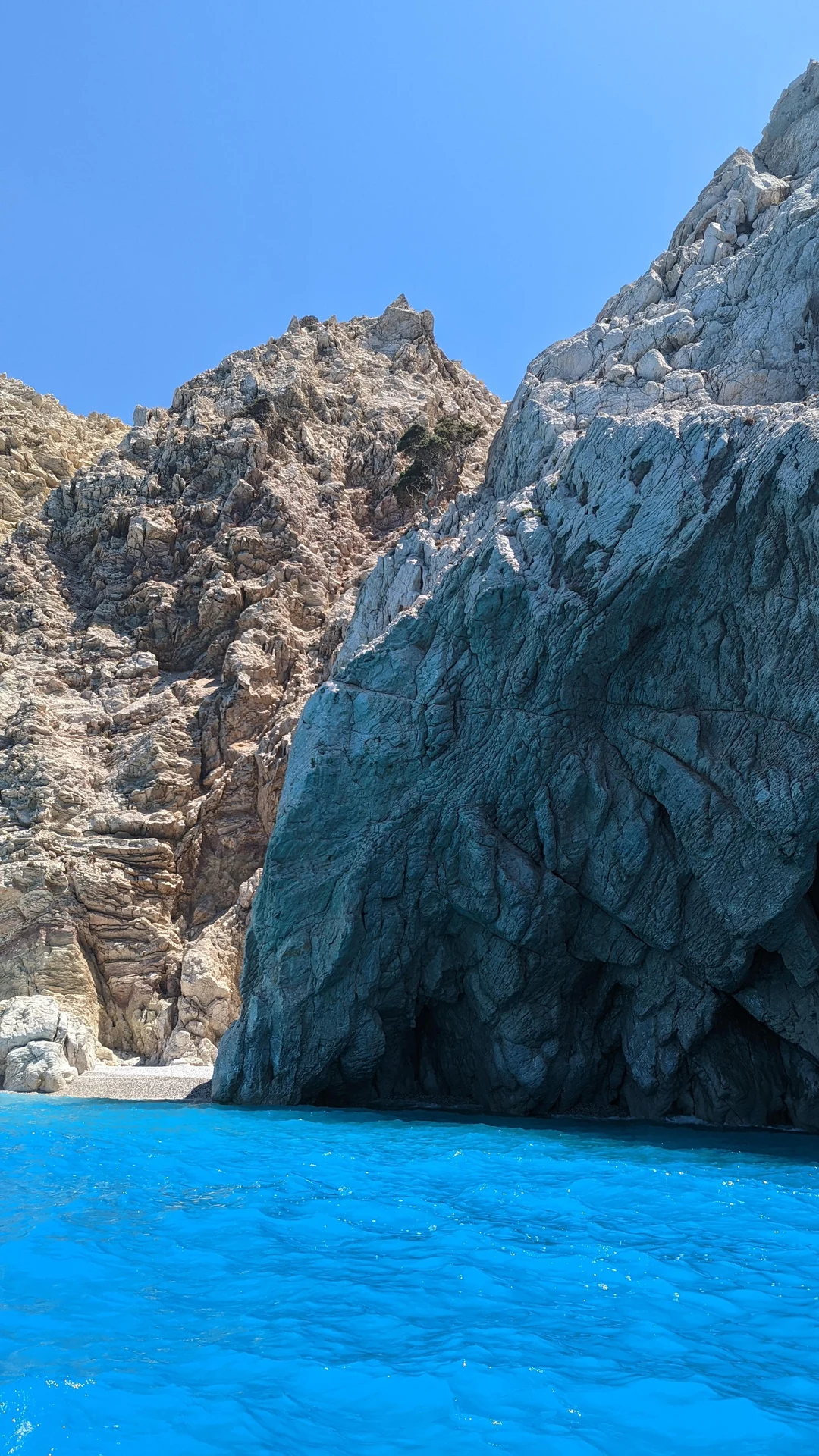 50 year old tree growing out of cliff in Gavdos, Greece. [OC] [2268x4032] | Scrolller