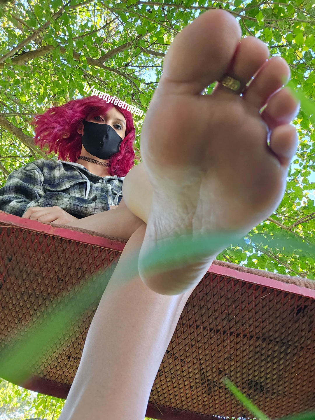 Look up tiny | Scrolller