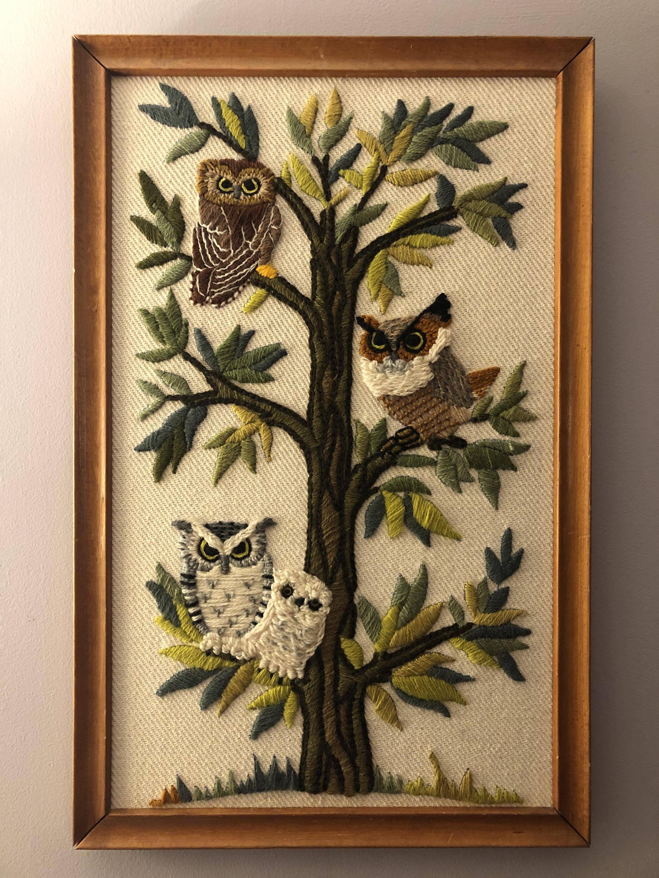 Our recent thrift store find | Scrolller