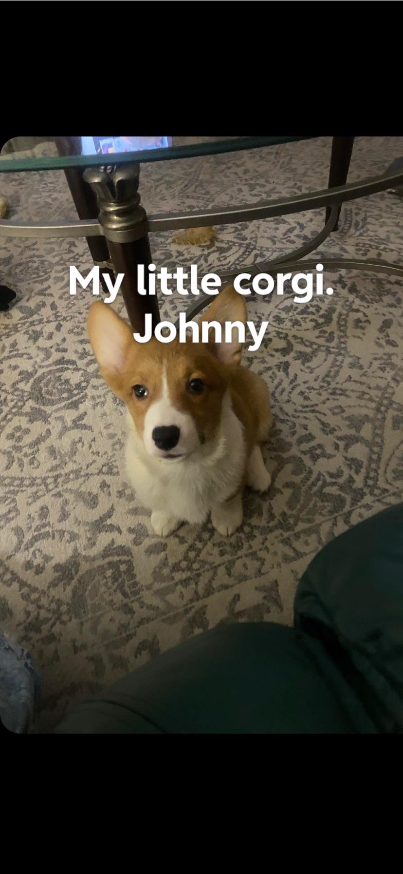 Introducing. | Scrolller