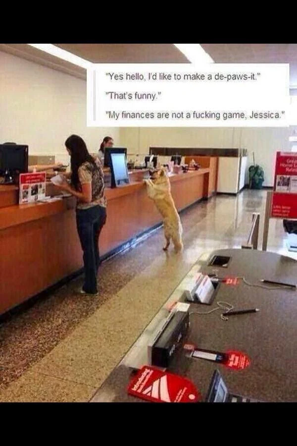 Four paws down, stand on business. | Scrolller