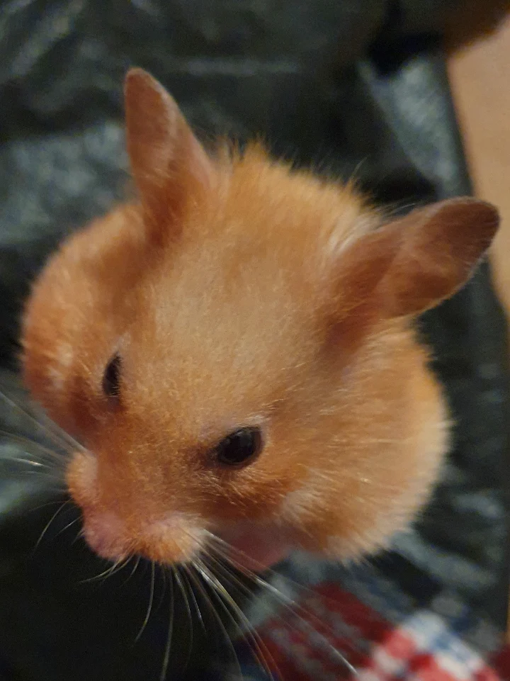 Help! I think she's plotting world domination. | Scrolller