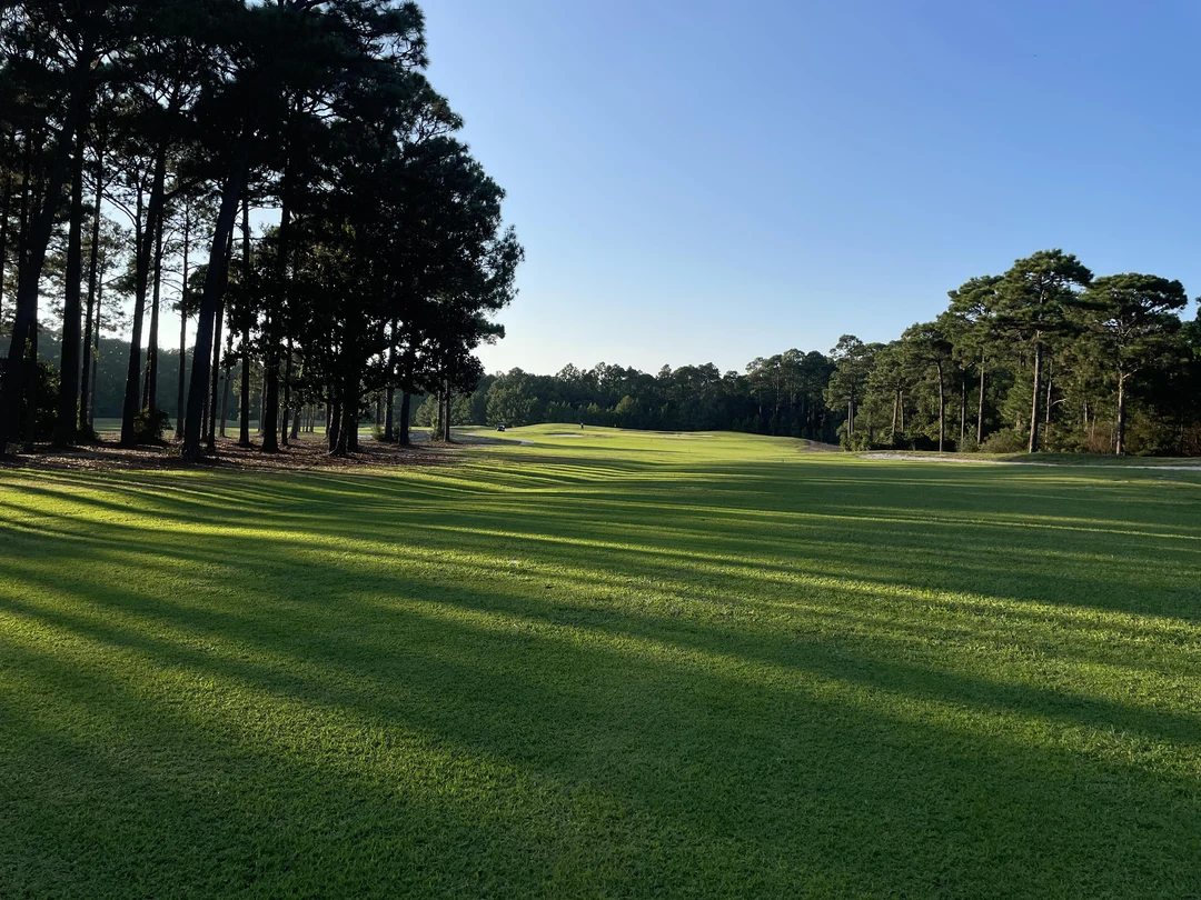 Golf in FL is terrible | Scrolller