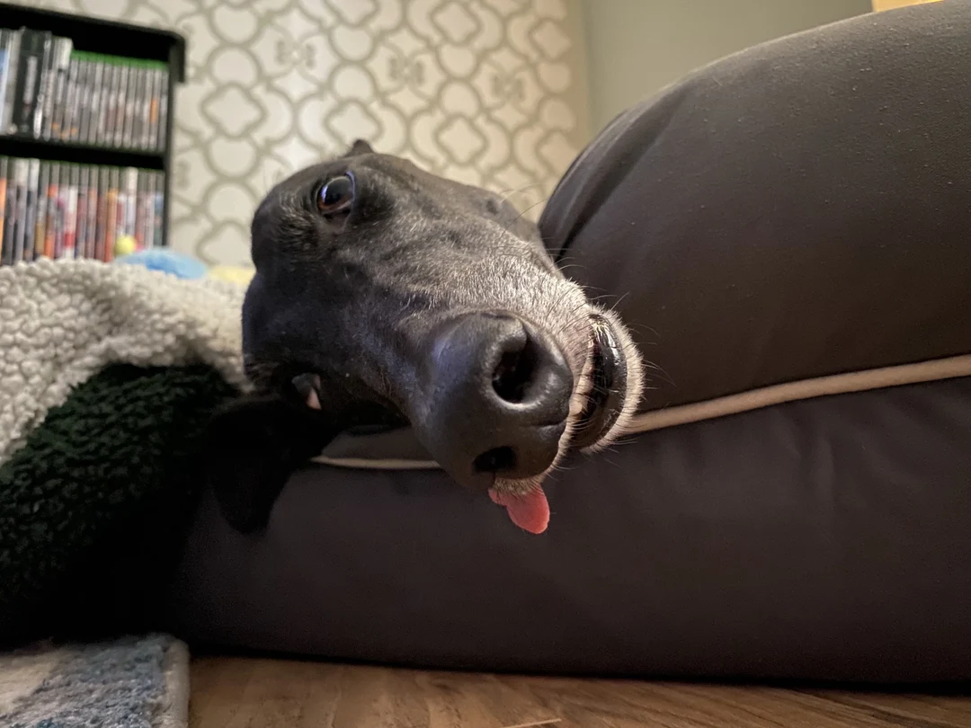 Chloe is finally celebrating TOT | Scrolller