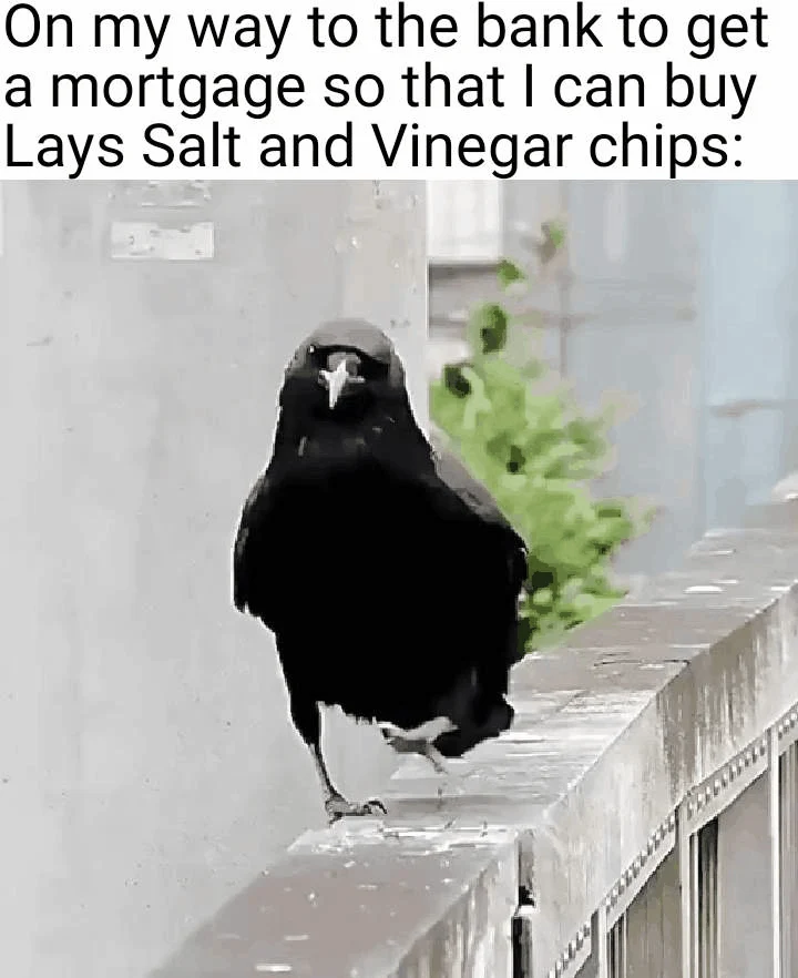 Like wtf? | Scrolller