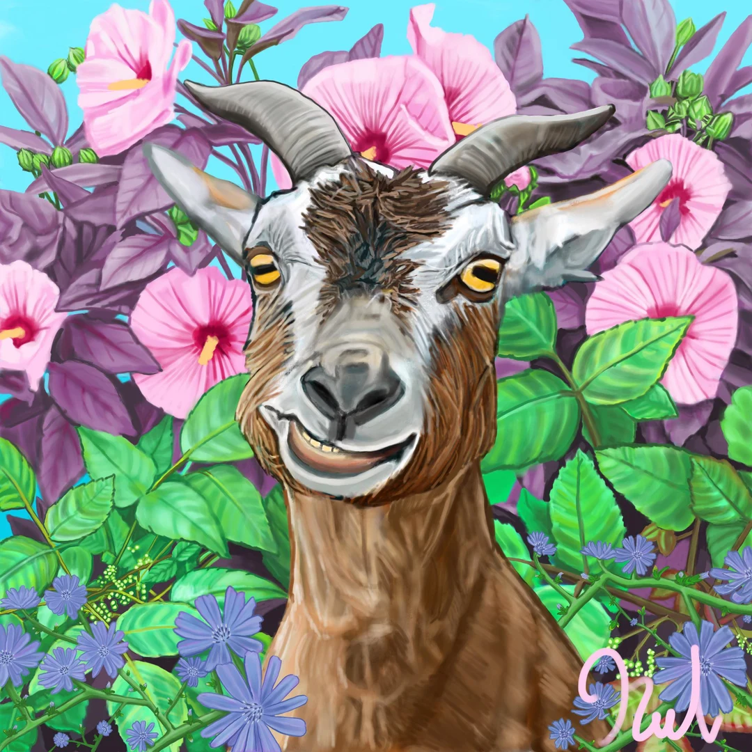 Goat, Me, Procreate, 2023 | Scrolller