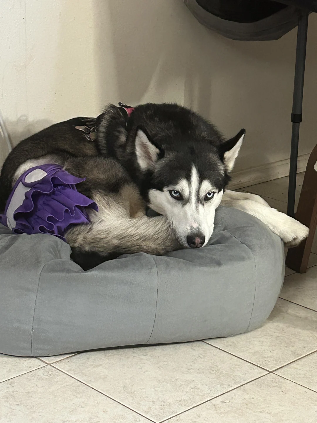 She’s so cute while pouting! | Scrolller