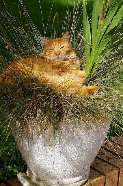 Any problem ? | Scrolller