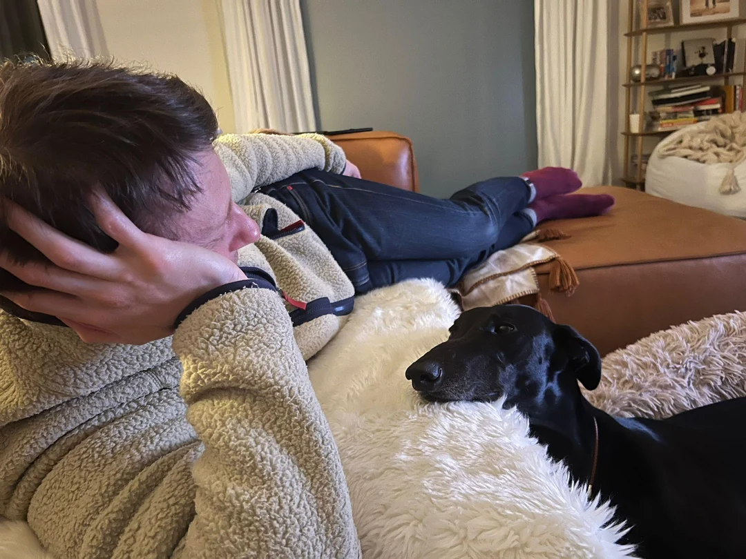 Rex. Goodnight fine sir! | Scrolller