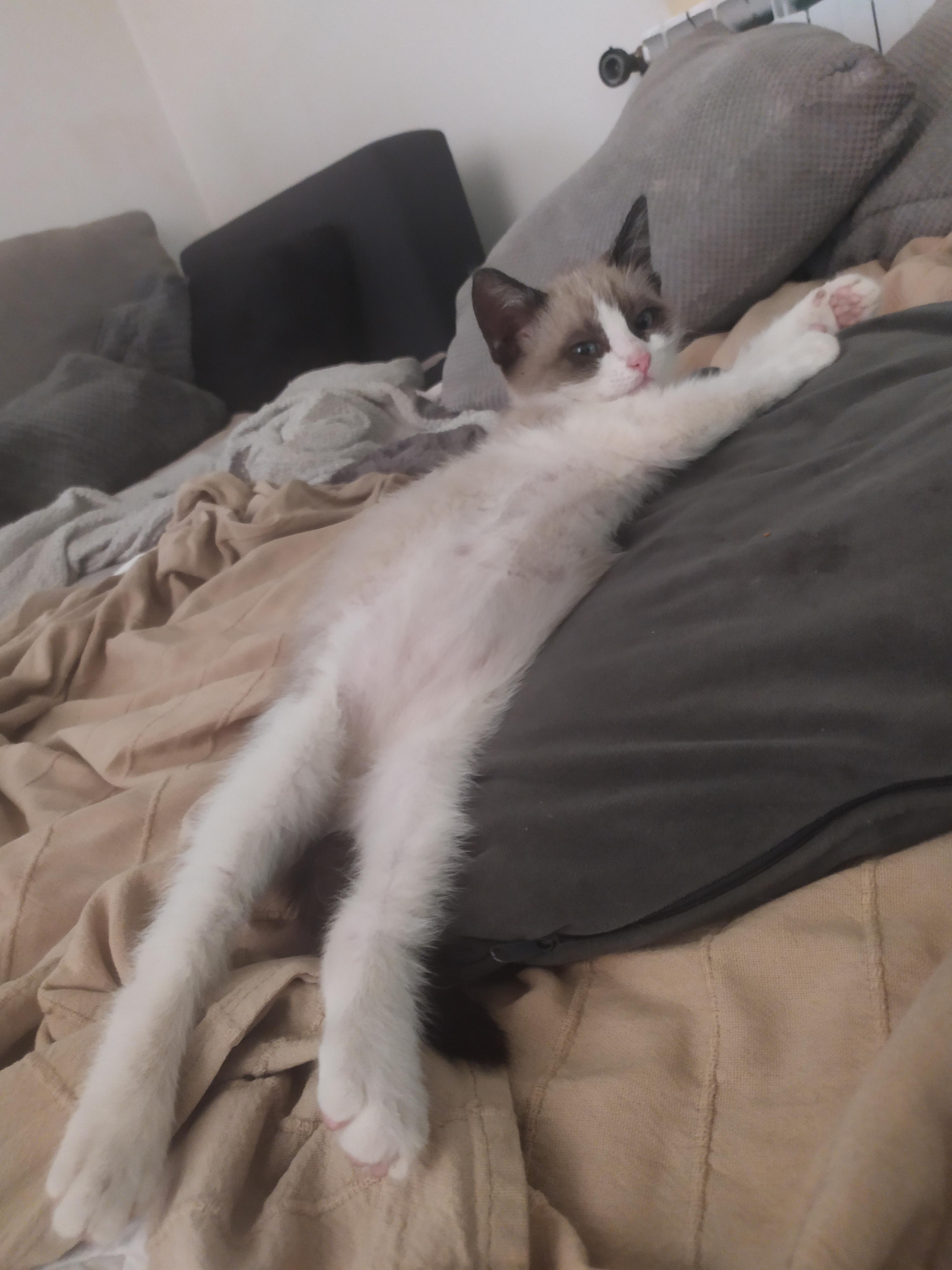 Strike a pose | Scrolller