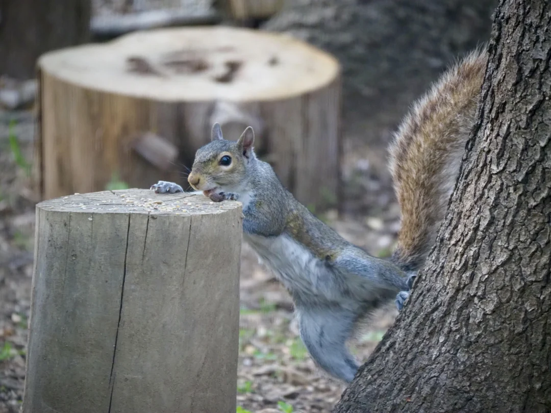 More please! | Scrolller