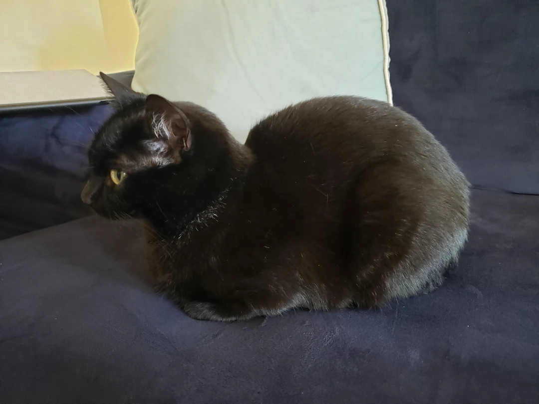 Perfect Form | Scrolller