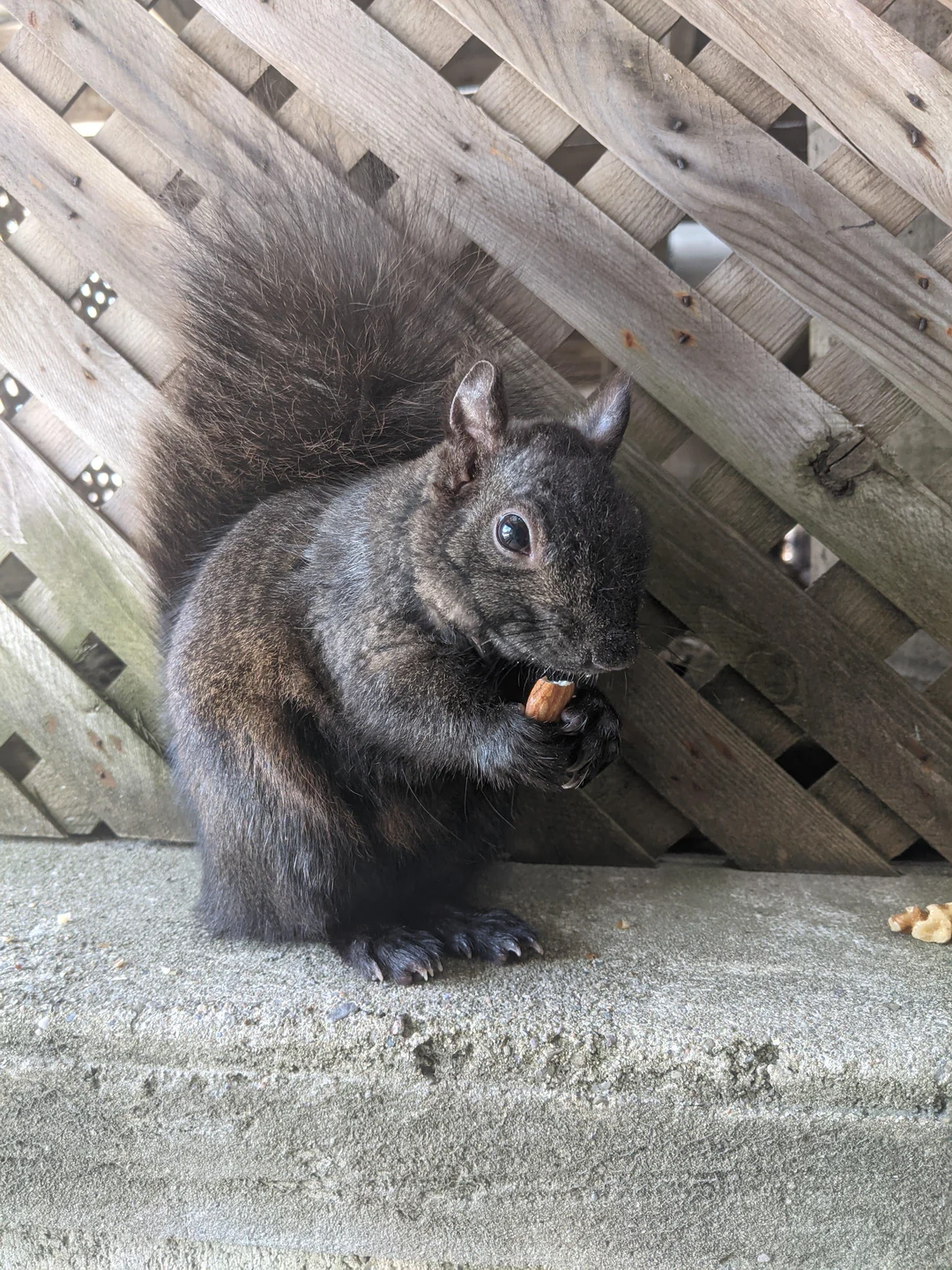 little polite girl gets all the snacks 🥰 | Scrolller
