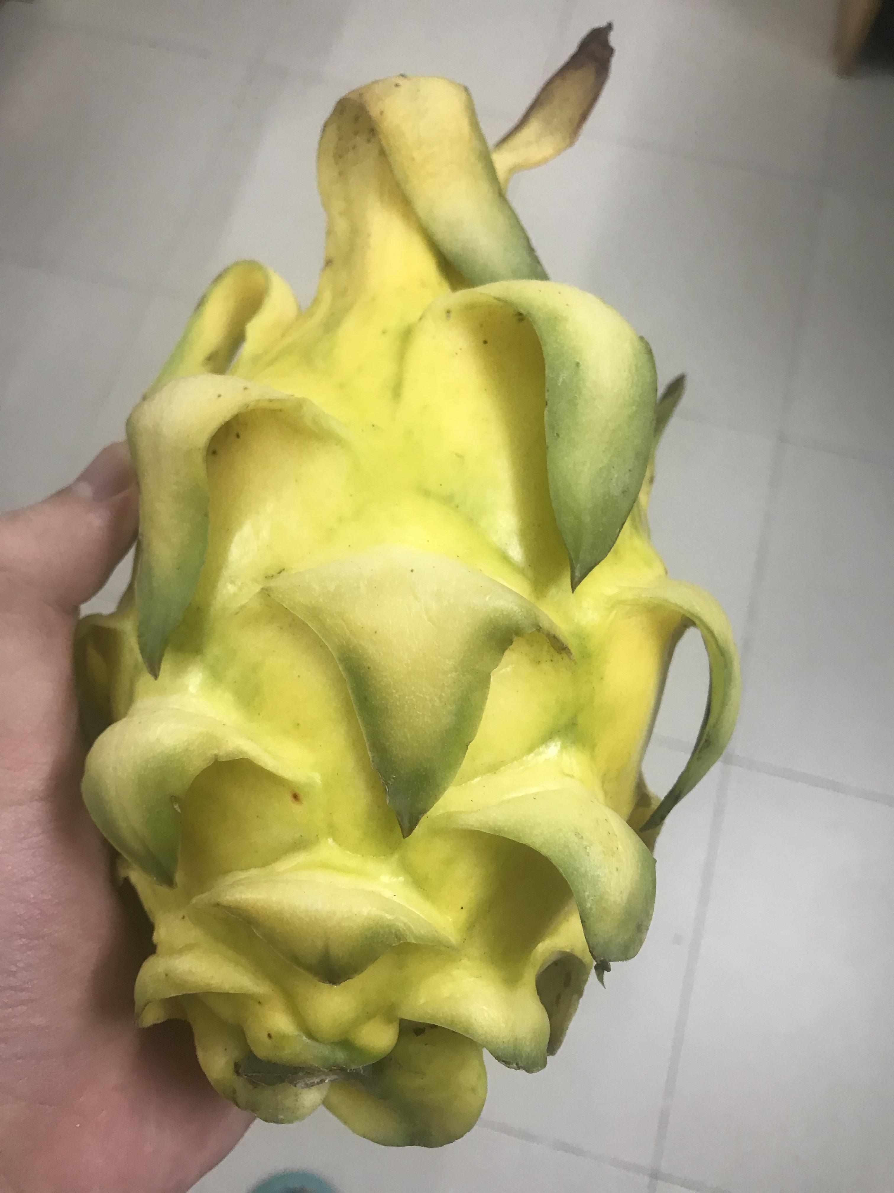 Here is a yellow dragon fruit | Scrolller