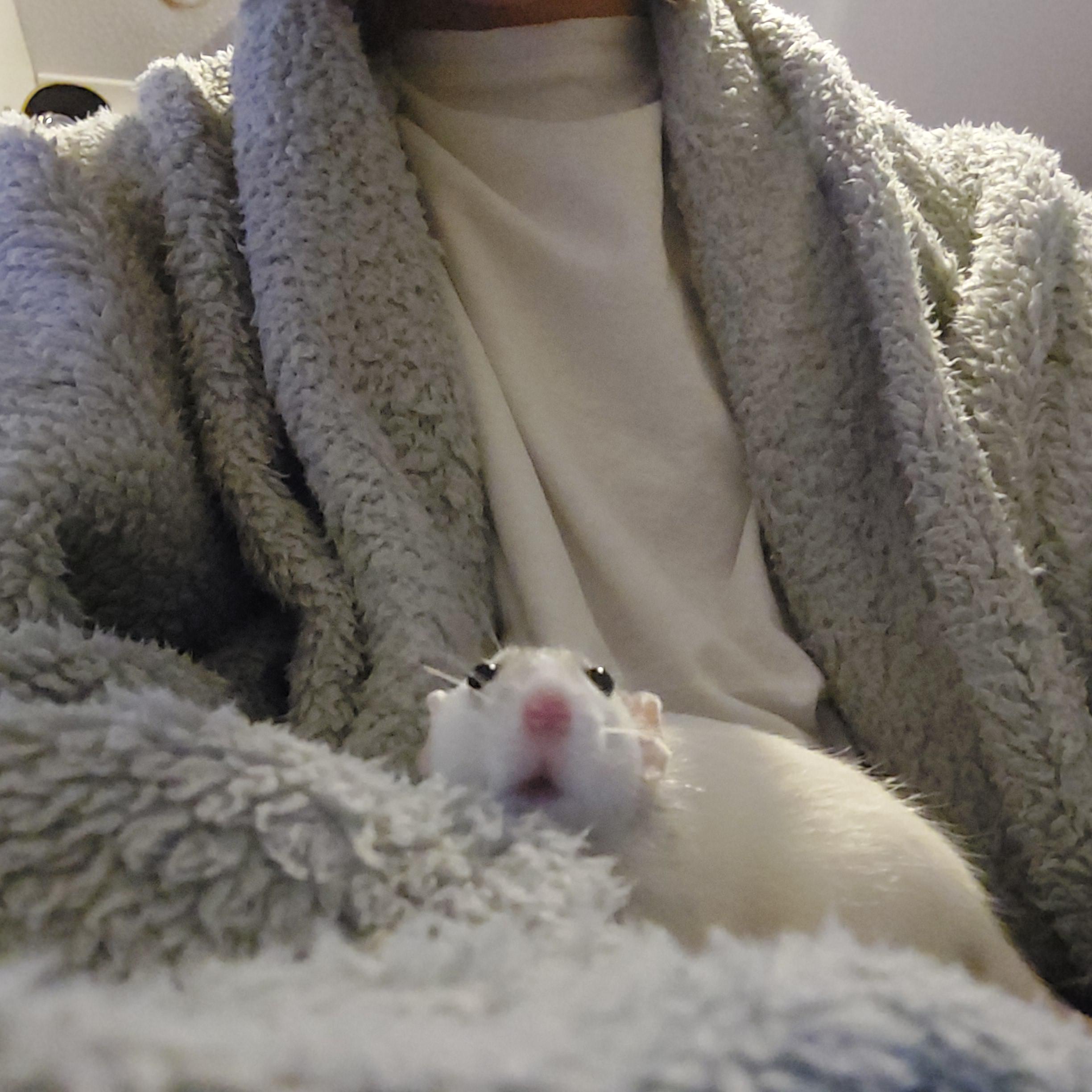 Meet GRIME | Scrolller