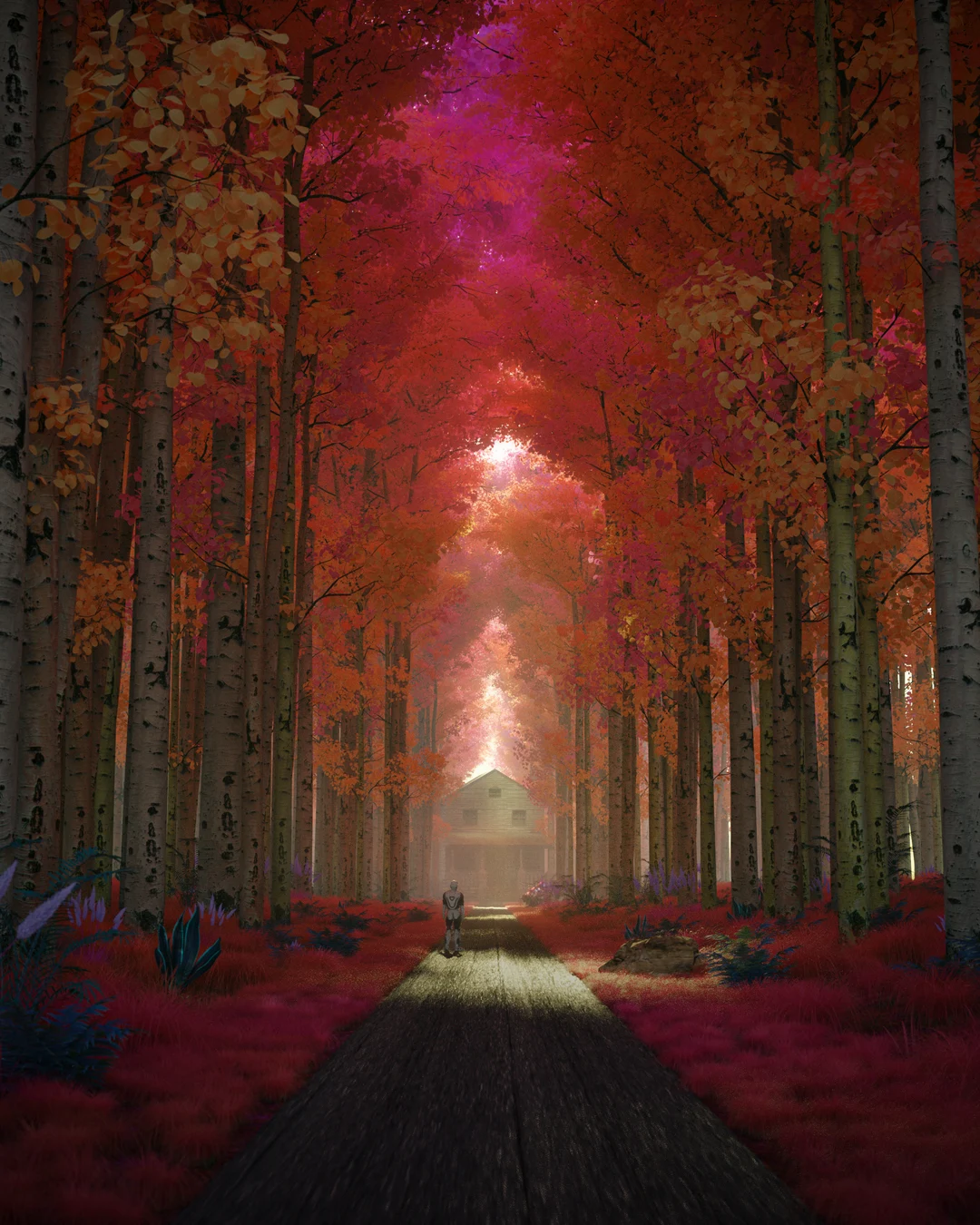 Return Home | Scrolller