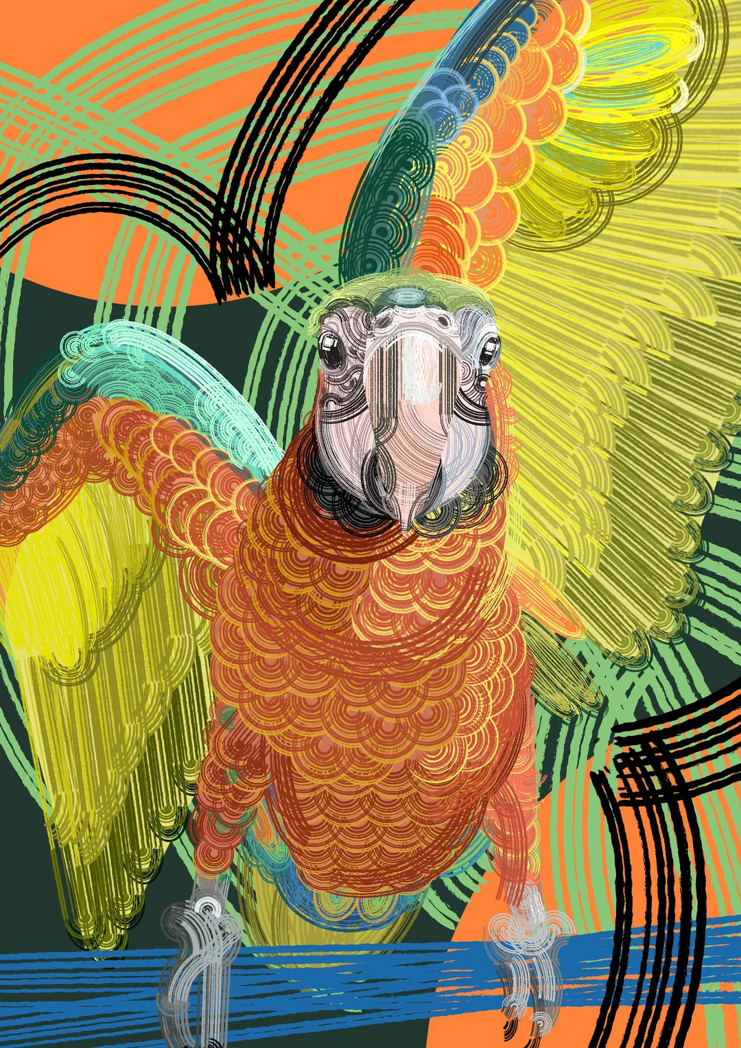 Macaw, minato(me), Procreate, 2024 | Scrolller