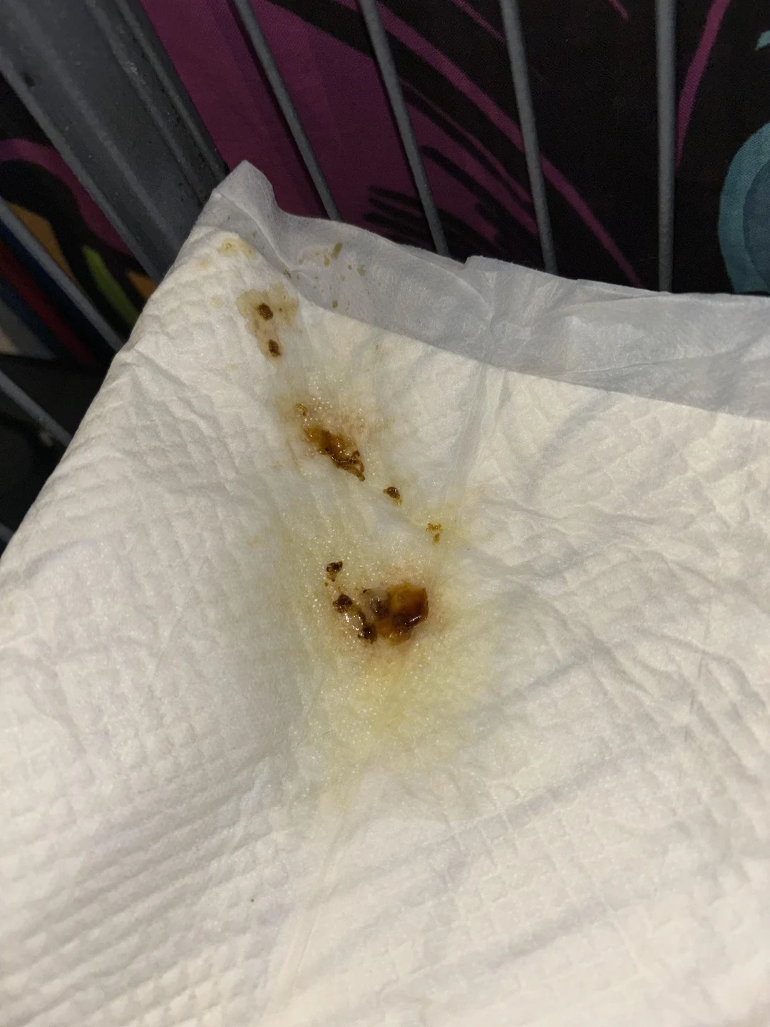 Bloody poop? | Scrolller