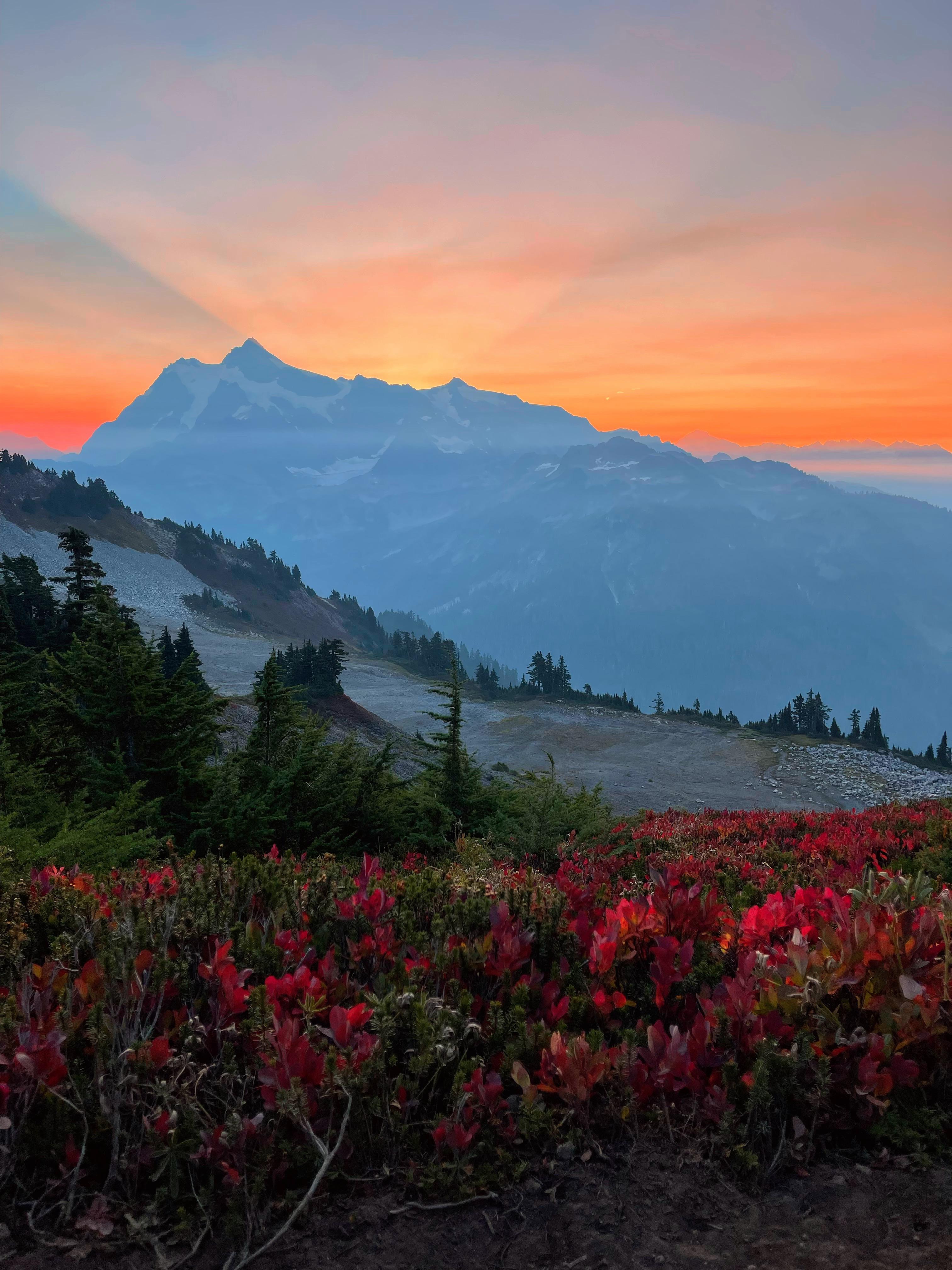 Sunrise Hike. Mt Baker-Snoqualmie National Forest [OC] 3024x4032 | Scrolller